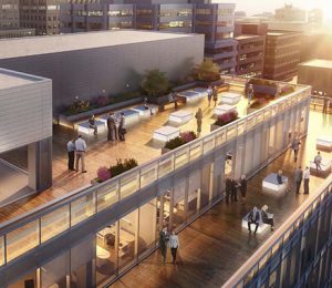 Alexander Court: Elevating the Standards for Trophy Class Buildings in ...