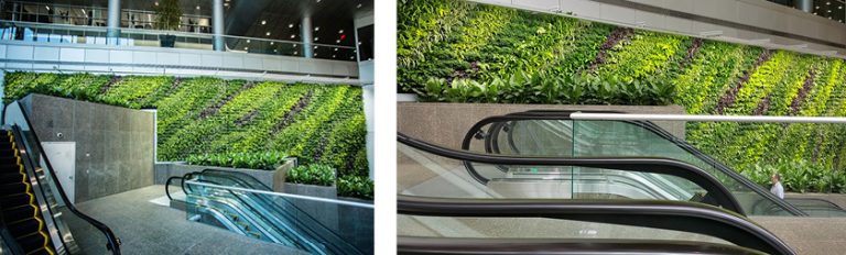 Bringing the Outside In With the Second Largest Green Wall in the U.S ...